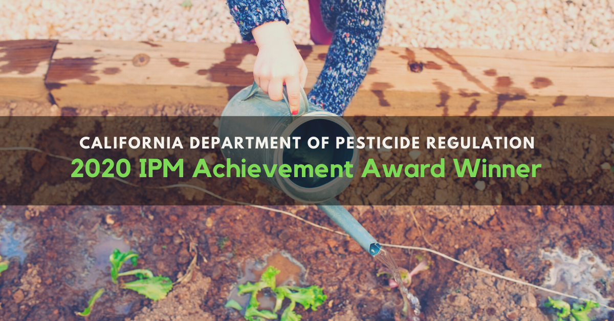 AKA Head Start is the 2020 IPM Achievement Award Winner - All Kids ...